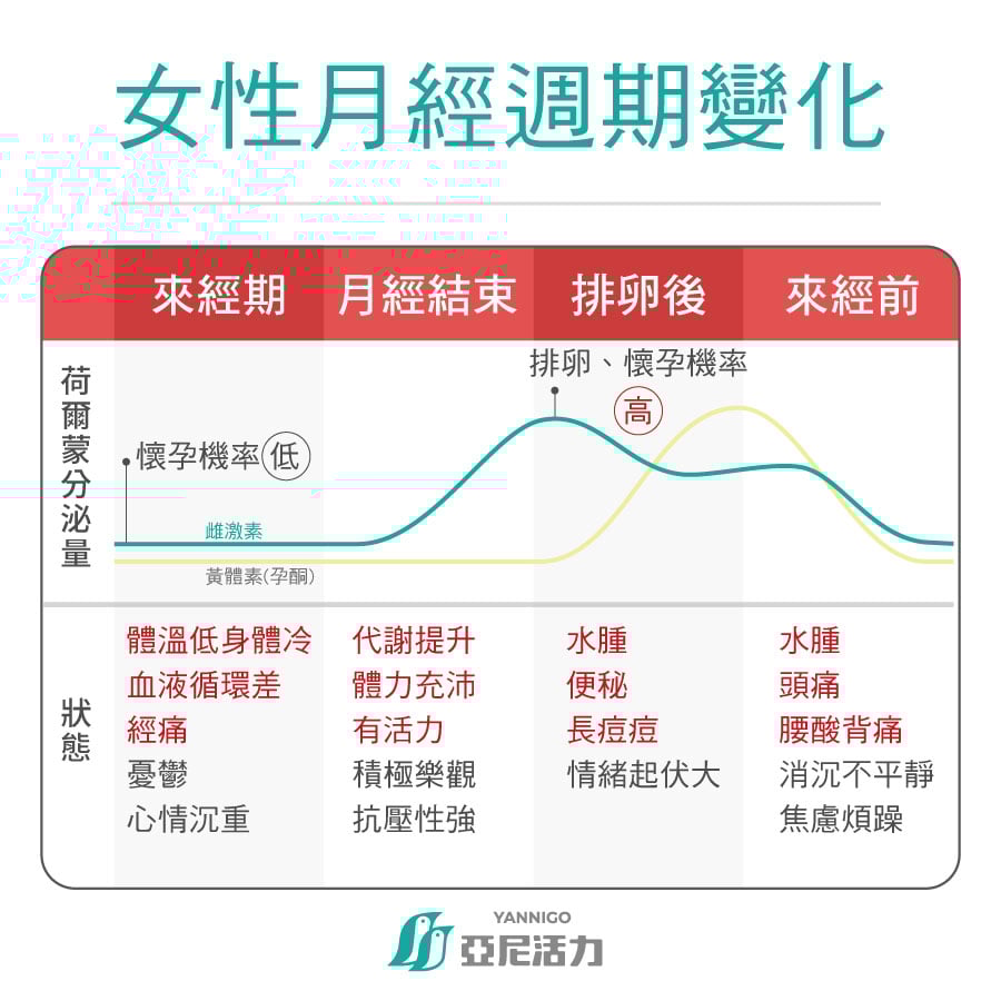 排卵日、排卵期怎麼算？會出現什麼症狀？準備懷孕的你必知！ 亞尼活力